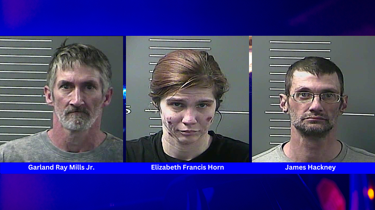 Two more accused guitar thieves arrested - The Mountain Citizen