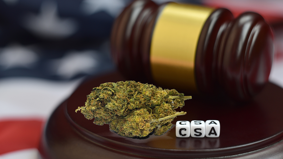 Attorney General initiates reclassification of marijuana from Schedule ...