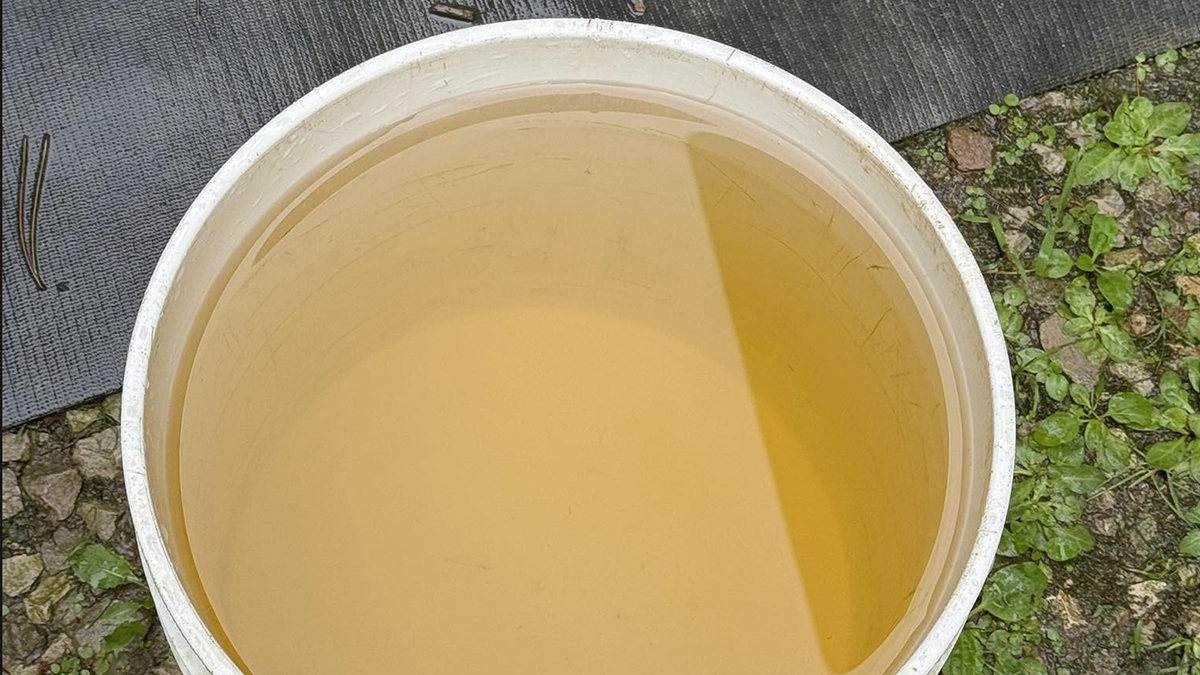 Brown water, corrosive truth: Engineers trace July 2025 crisis to ...